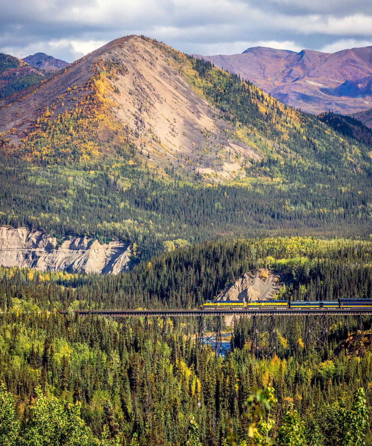 Rejser til Alaska - En fascinerende naturrejse i USA